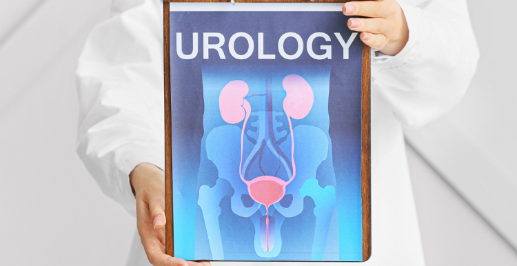 Half of us will have a urology condition during our lifetime ...