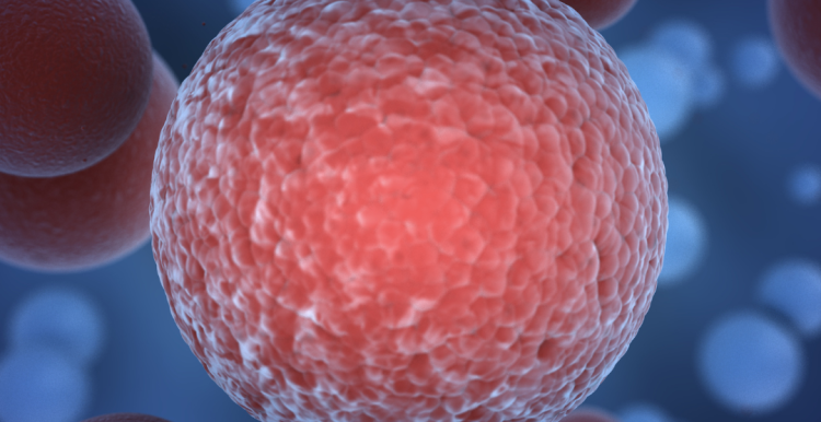 Blood Cancer Awareness Month | Healthwatch Kent